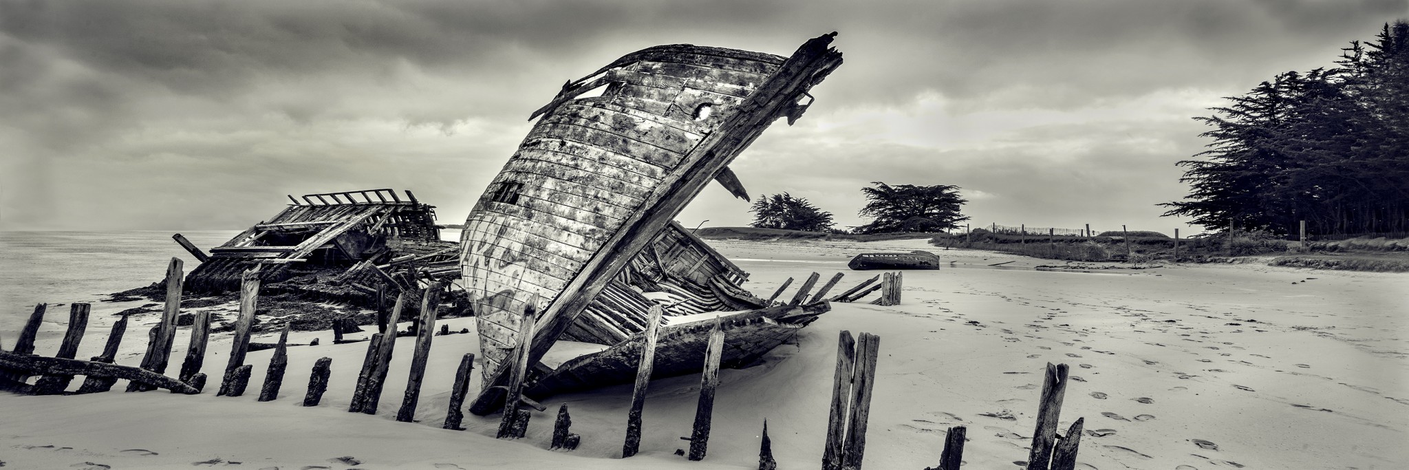 John Whitfield – Fishslab Gallery