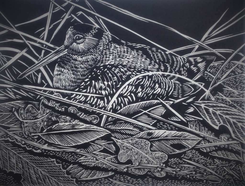 Louise Harding and Mark James – Fishslab Gallery