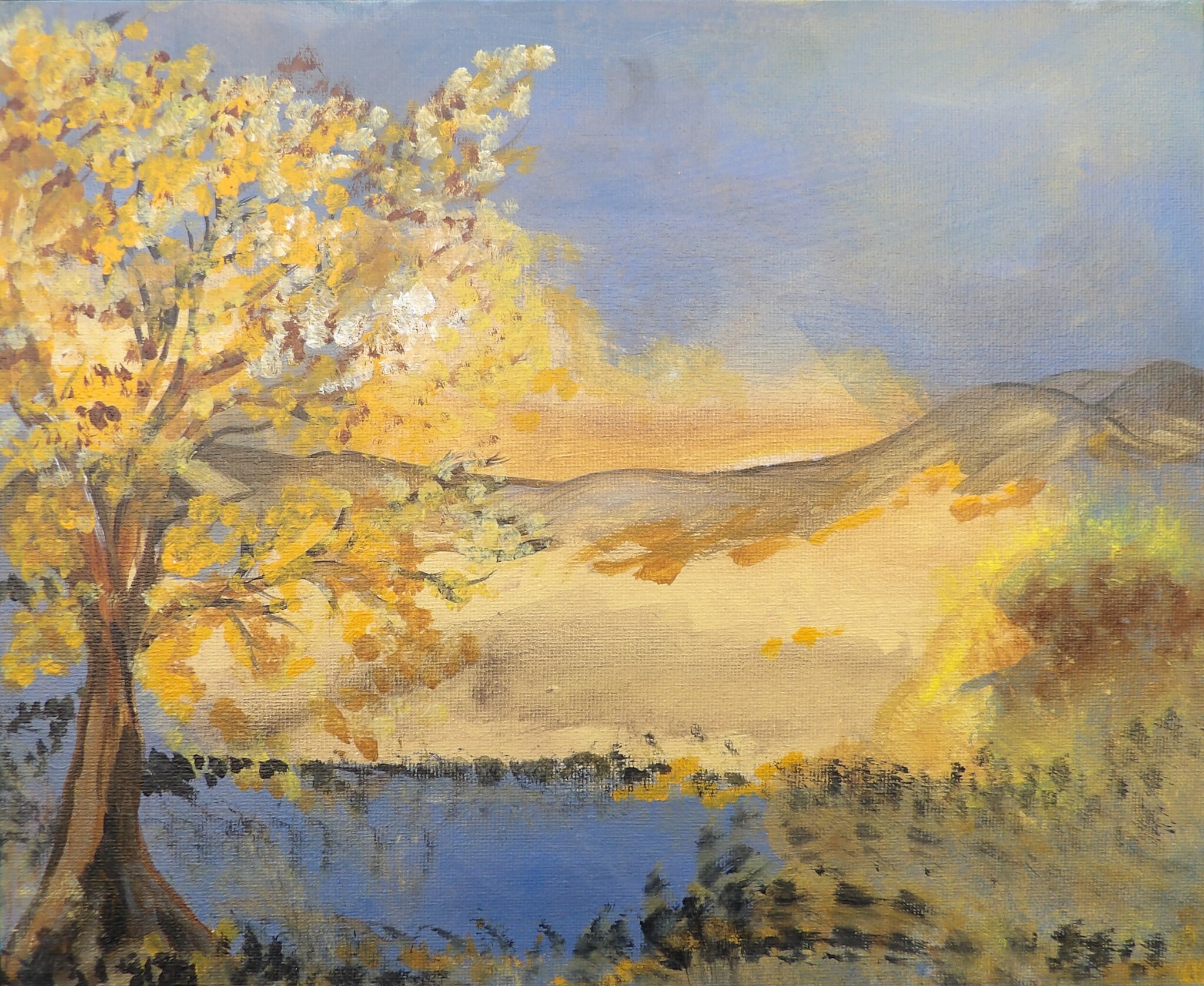 Caroline Battenburg This Is Not Wallpaper Fishslab Gallery
